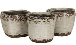 Ceramic Containers – Bonnett Wholesale Florist