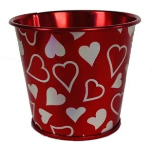Valentine’s Day Containers – Bonnett Wholesale Florist