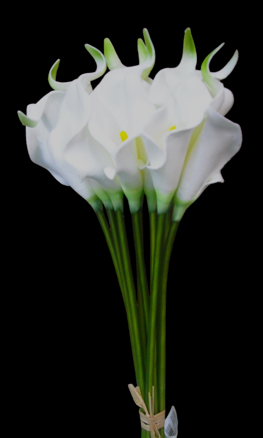 Silk Stems – Bonnett Wholesale Florist