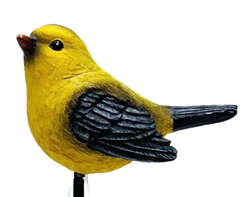 12″ Golden Finch Pick – Bonnett Wholesale Florist